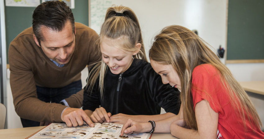 Dibber skolor | Dibber Home